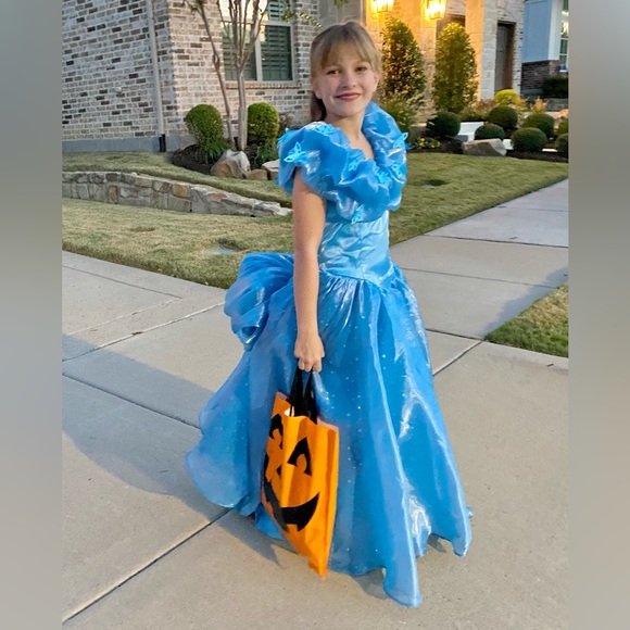 Costumes | Custom Cinderella Gown Costume With 3d Butterfly Details On ...